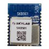 Applications of WiFi Module - Skylab