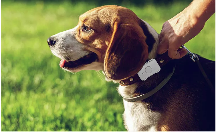 Pet GPS Position Tracker Solution - Skylab