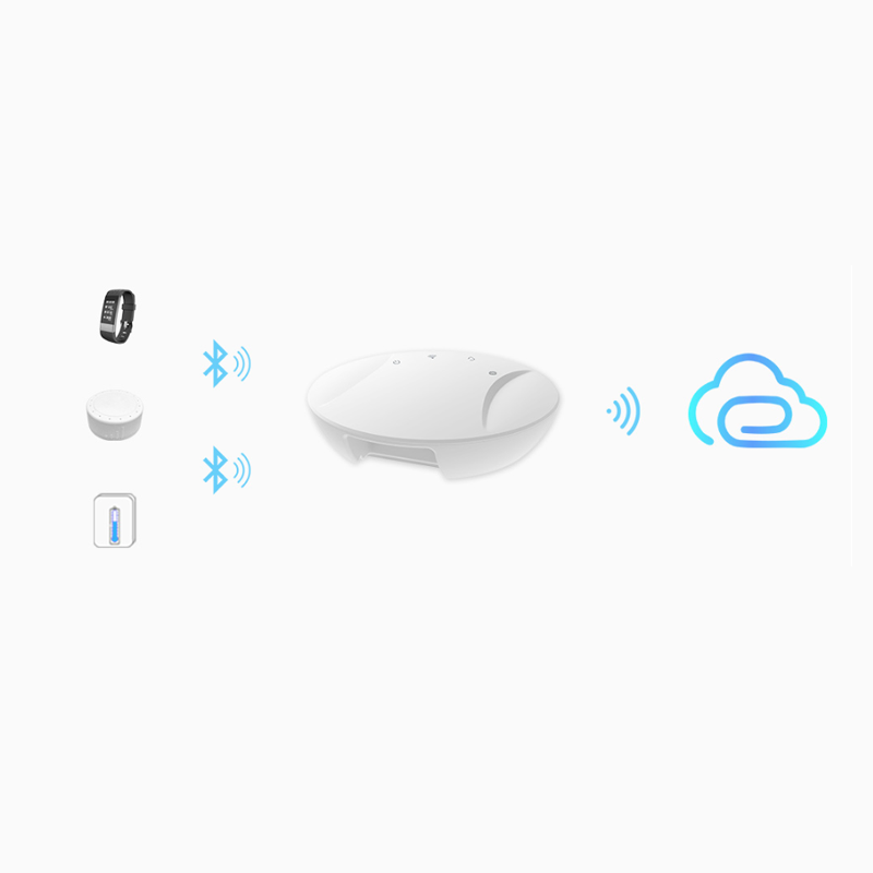 What Are The Differences Between BLE Gateway And Mesh Gateway?